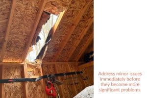 How to Repair a Shed: A DIY Guide (and When to Call a Pro) - Shed ...